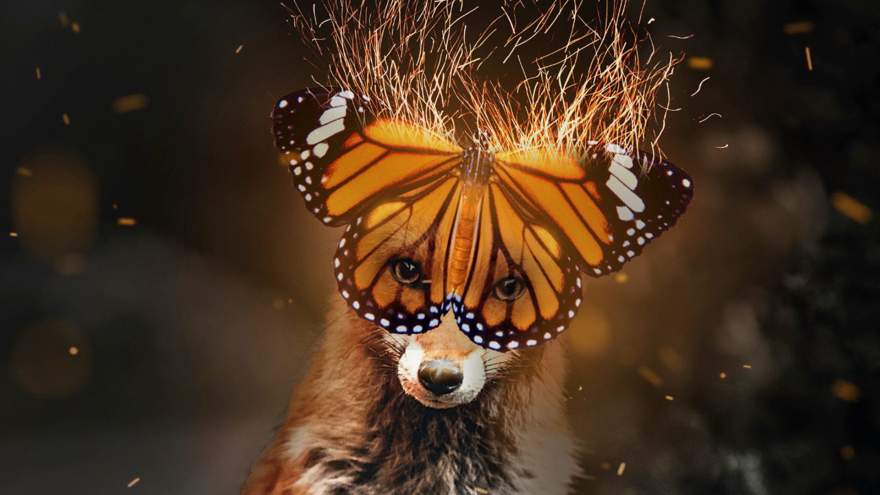 The Amazing Fox - Affinity Photo - Affinity Tutorials